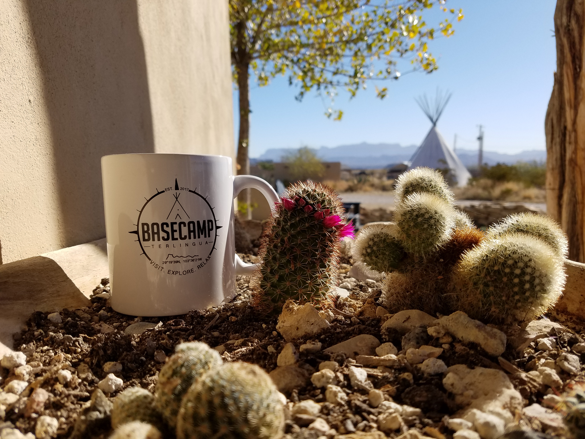 Why I Love Terlingua, Texas + Tips for Your Stay – Park Trips (and More)