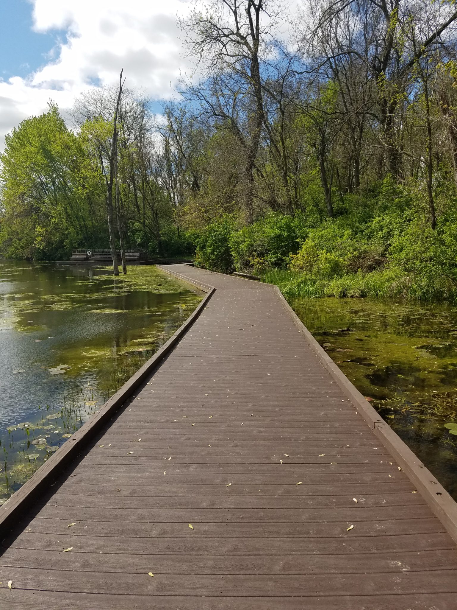 Slate Run Metro Park: A Hidden Gem in Central Ohio - Park Trips (and More)